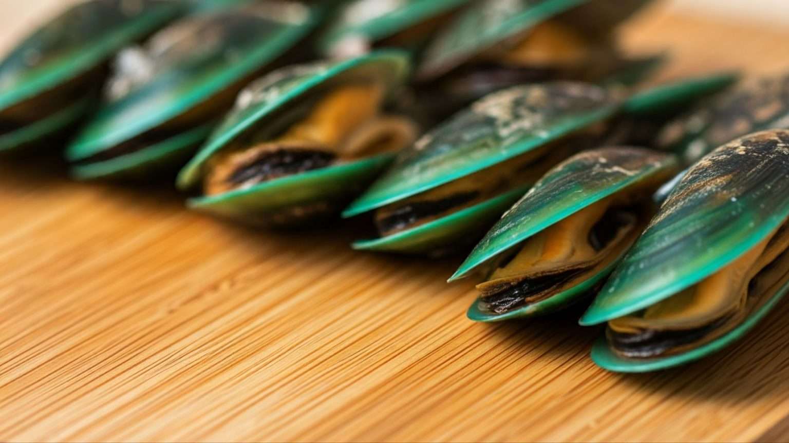 Largest Mussels Suppliers in India